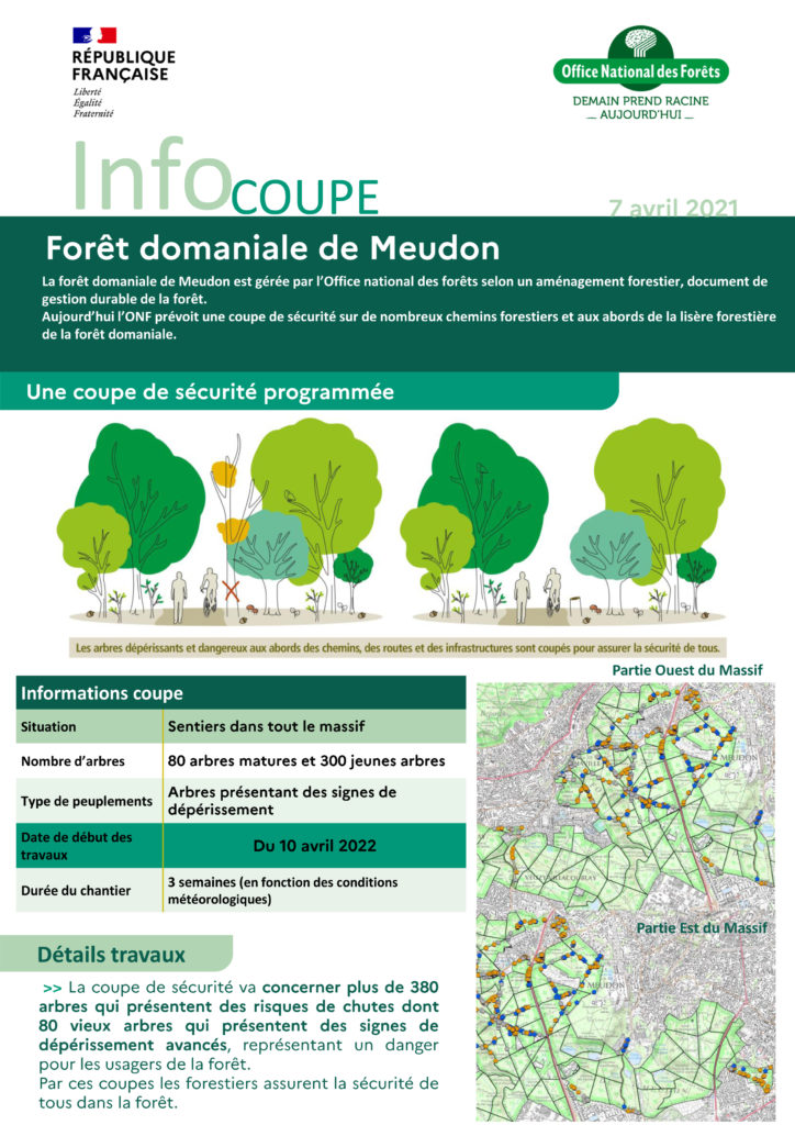 Info coupe – Forêt domaniale de Meudon – Chaville environnement
